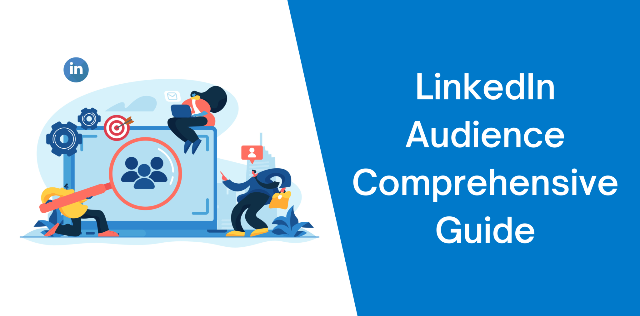 LinkedIn Audience Comprehensive Guide - Octopus CRM