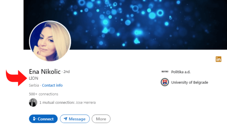 LinkedIn Open Networker (LION) Complete Guide - Octopus CRM